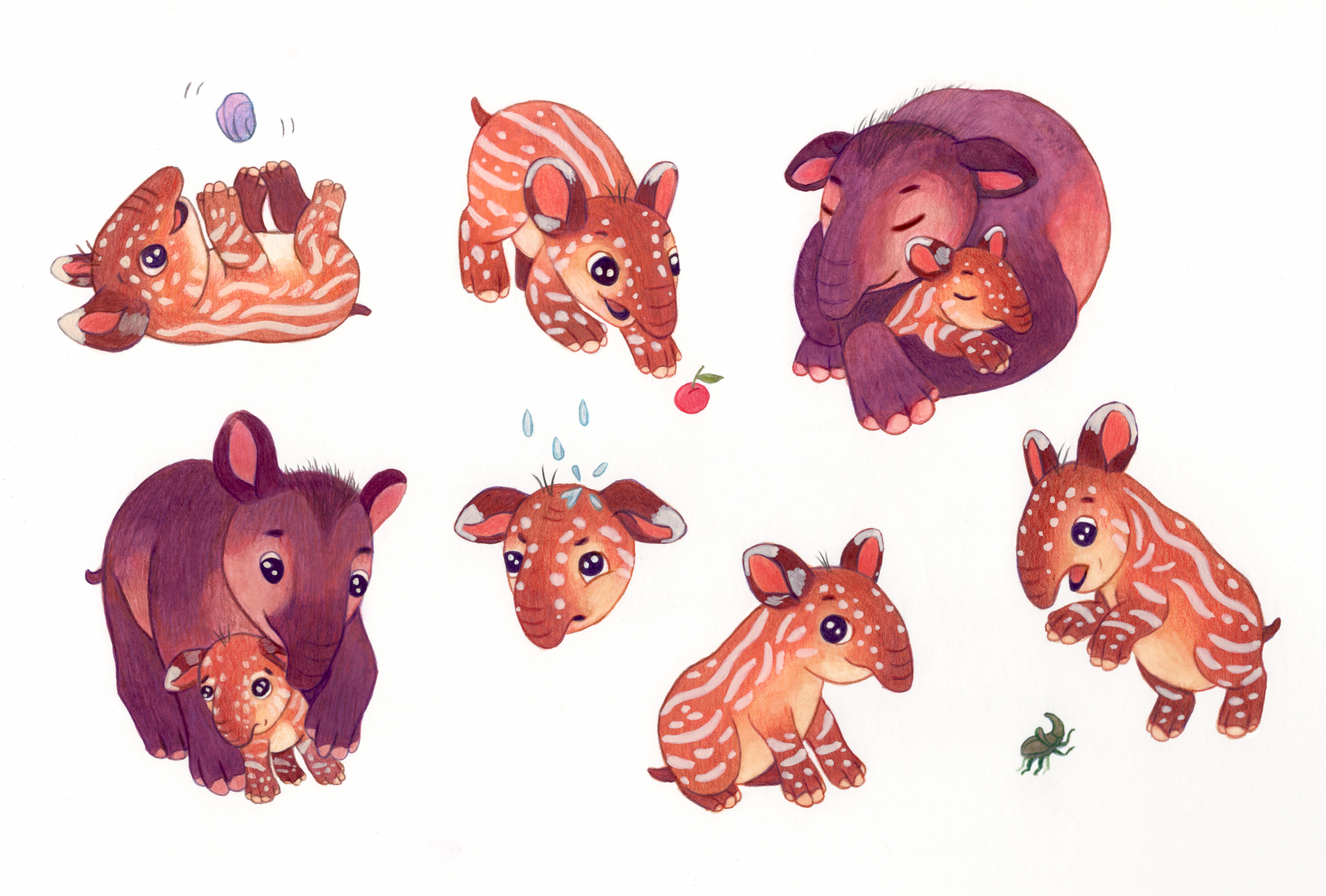 Illustration Québec - Olga Urbanowicz - Tapirs