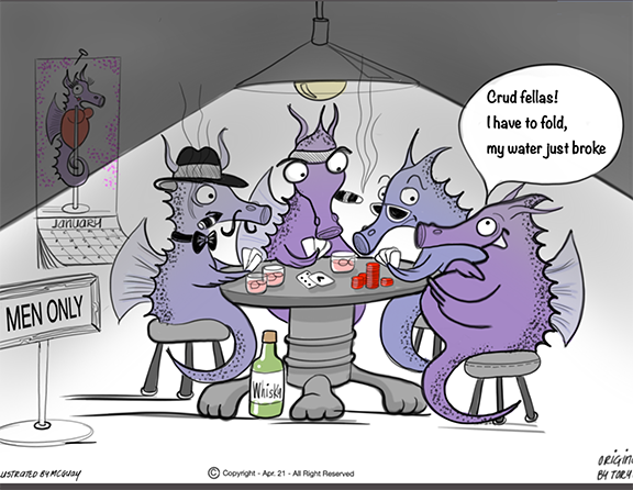 Illustration Québec - Marie-Claude Guay - BLAGUE TOE'S TOWN